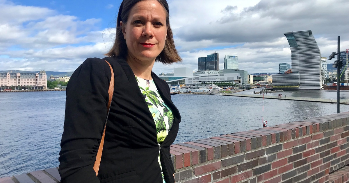 Ny fargeveileder for Oslo