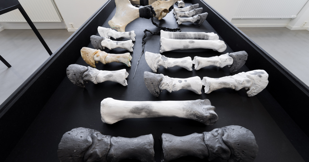 Hybrid kropp, splittet fortelling