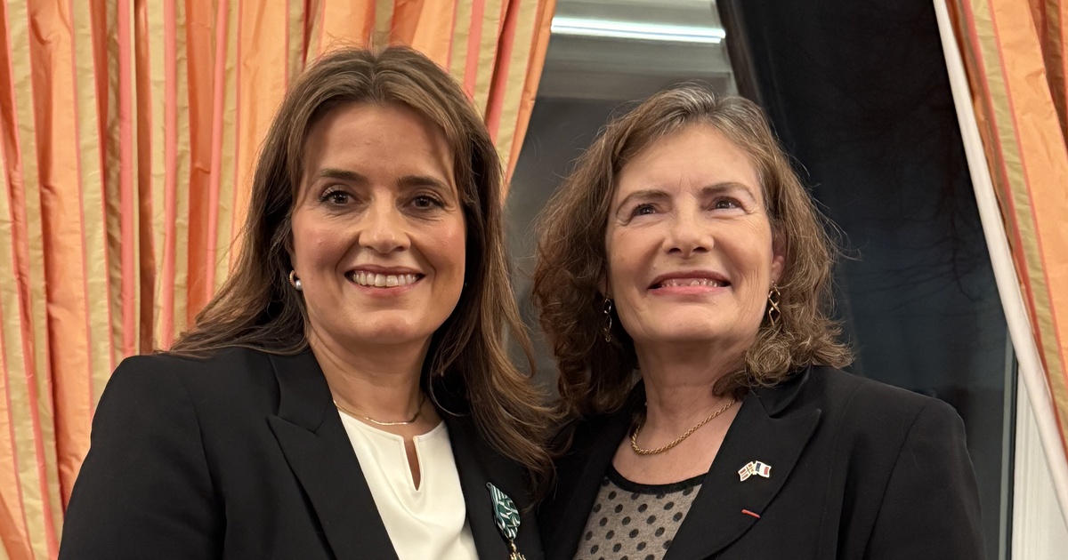 Kjersti Mo (NFI) hedret med fransk orden for kunst og litteratur