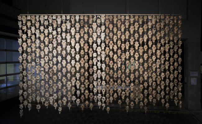 Vinternatt i Rondane