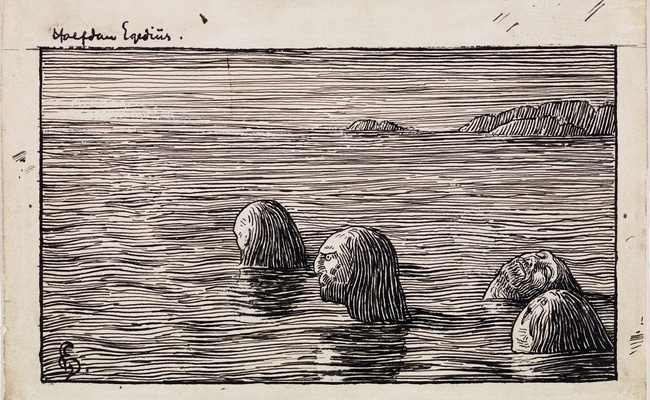 Vinternatt i Rondane